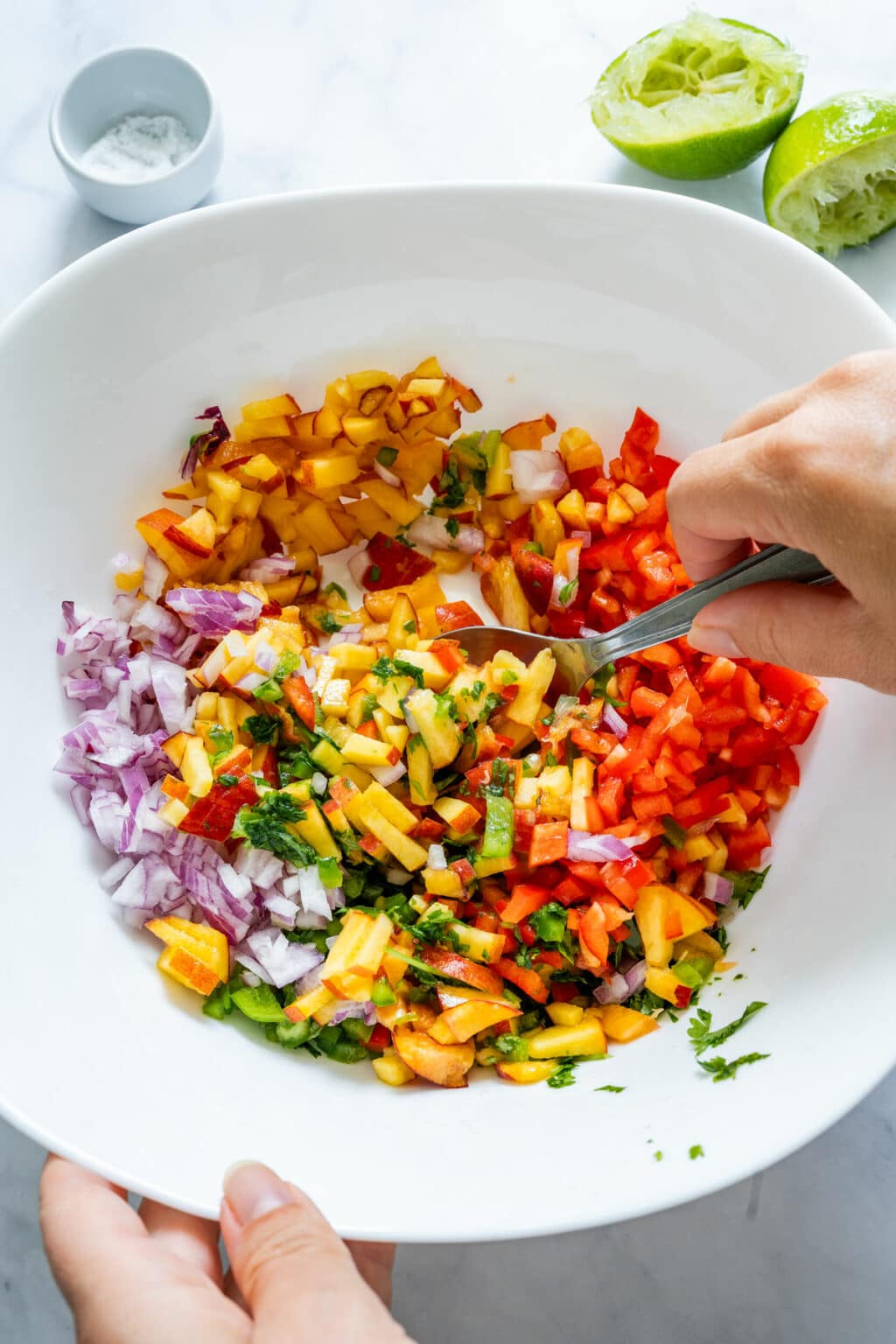 Peach Salsa Recipe - Appetizer Addiction